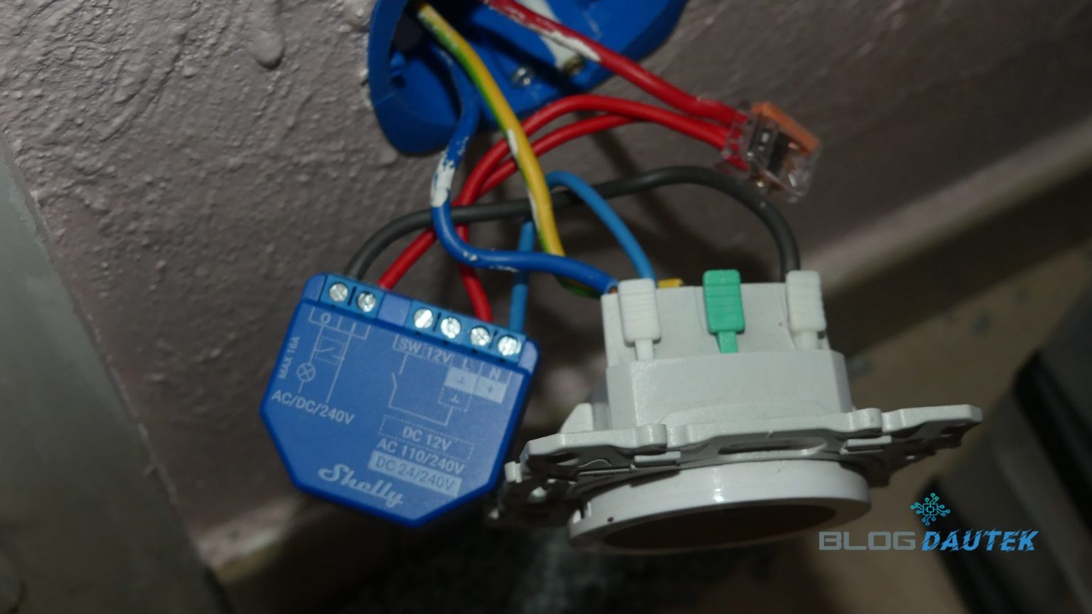 Test du module Shelly Plus 1 - Blog Dautek